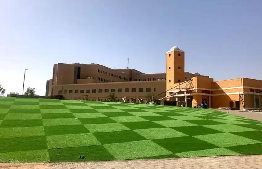 Qassim University | Insuwrap